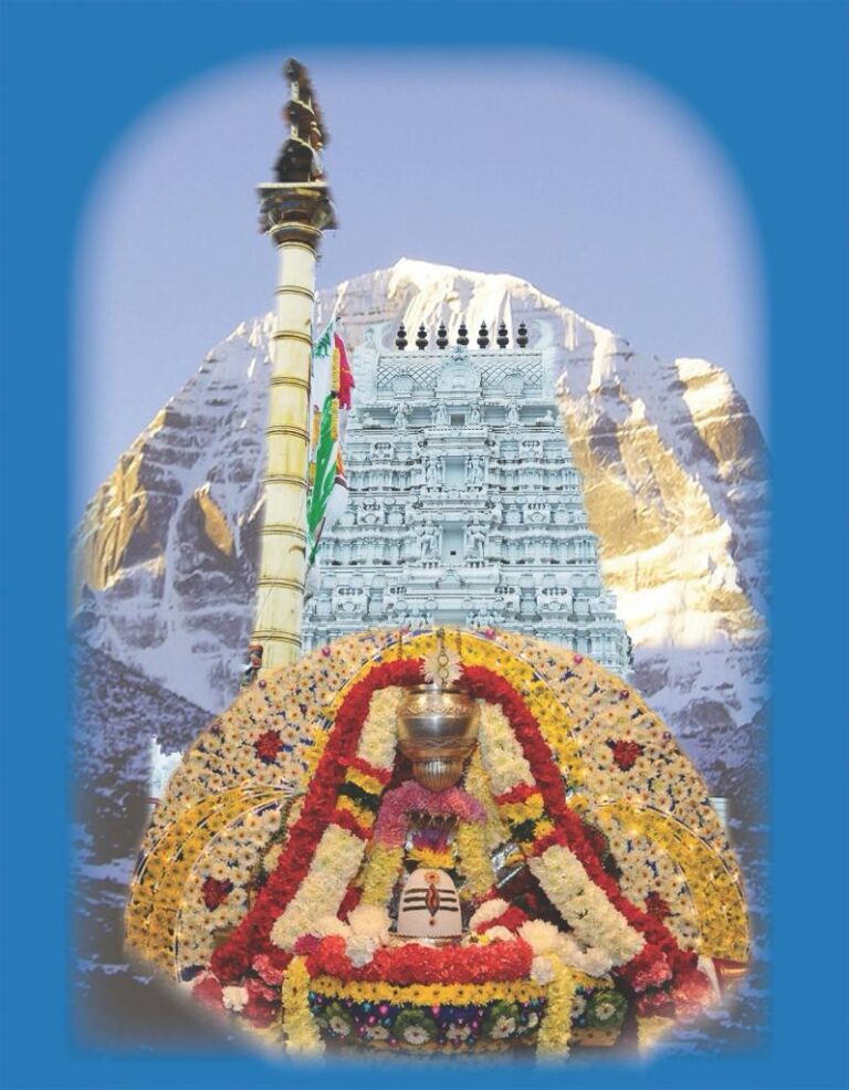 Why HTA performing Sri Medha Dakshinamurthy Yagam? - NRI2NRI.Com